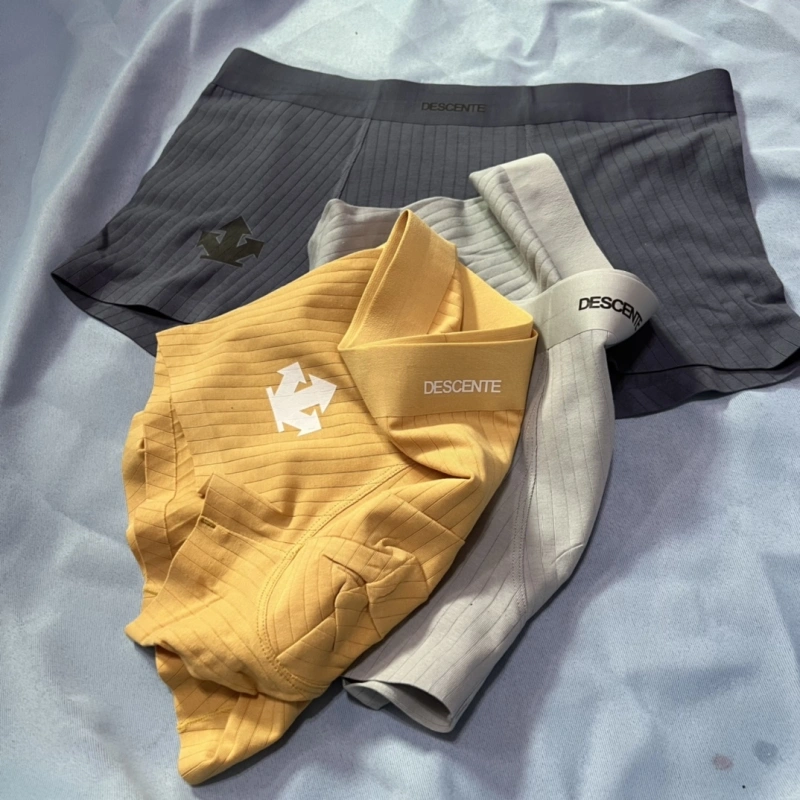 Mirror quality Descente Underwear