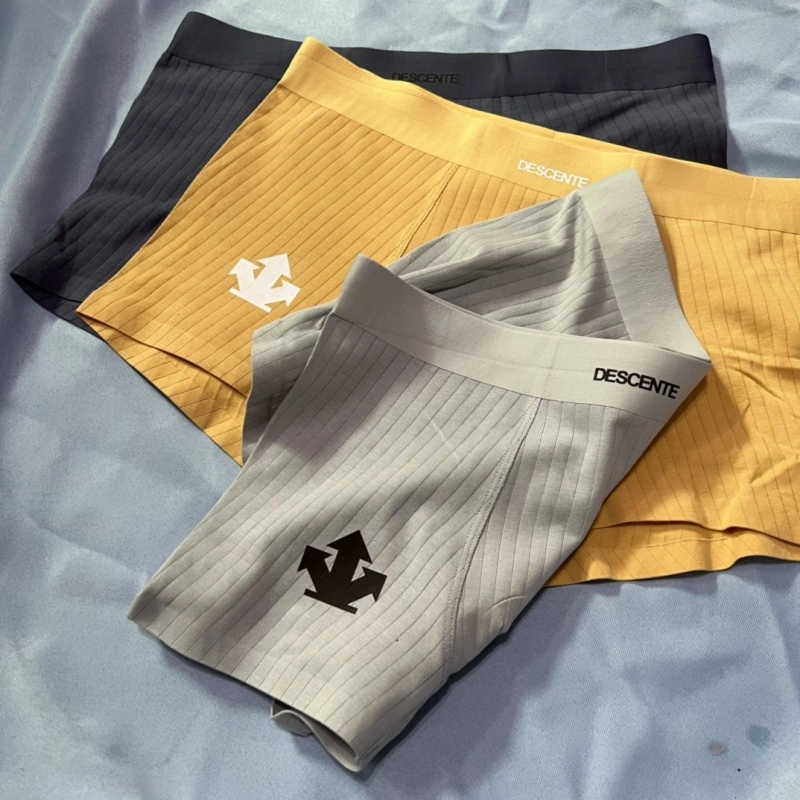 Mirror quality Descente Underwear