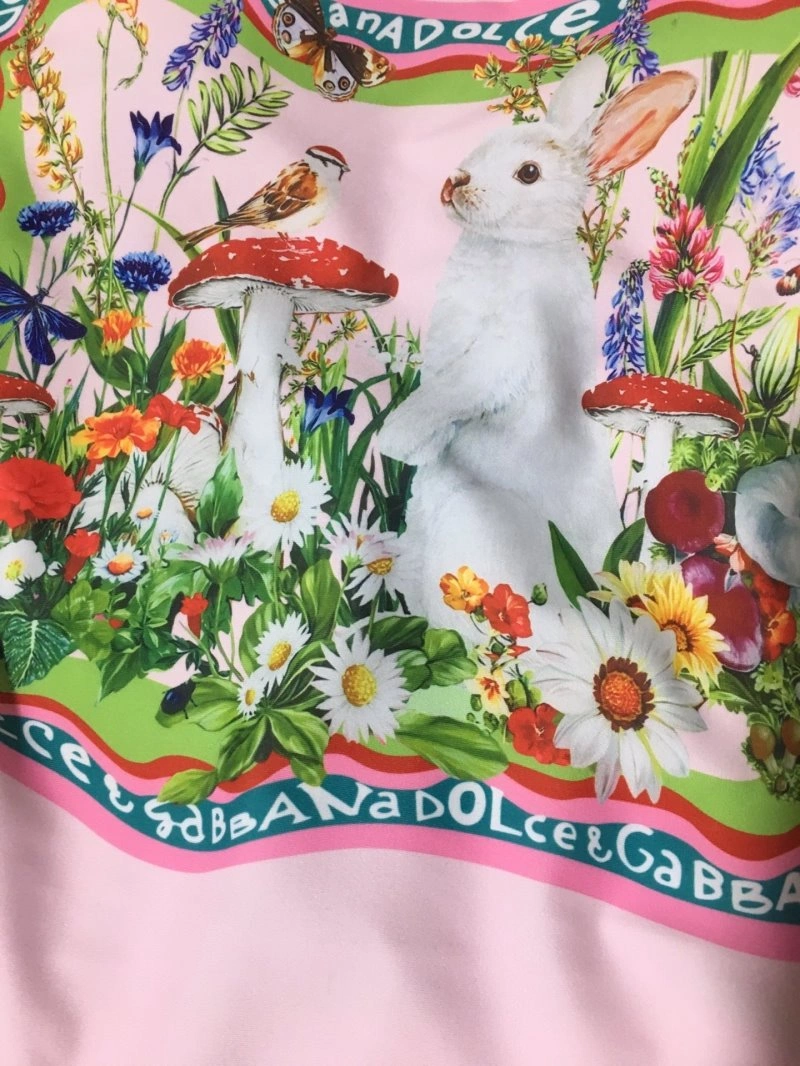 Economical Dolce Gabbana Bikins