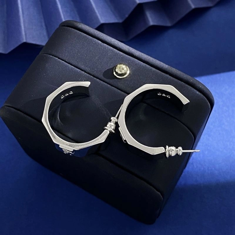 Precise copy Dolce Gabbana Earrings