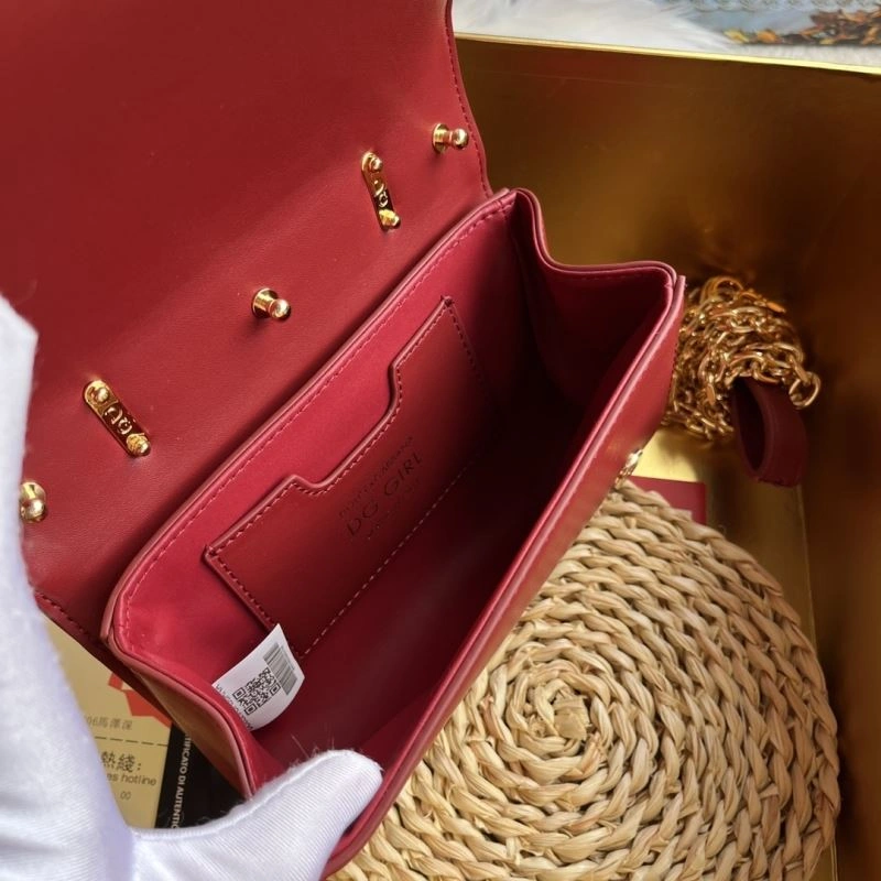 Accurate model Dolce Gabbana Satchel Bags