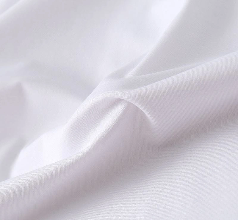 Reasonably priced Dolce Gabbana T-Shirts
