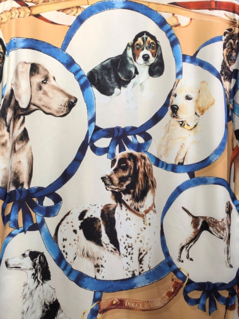 High accuracy Dolce Gabbana T-Shirts