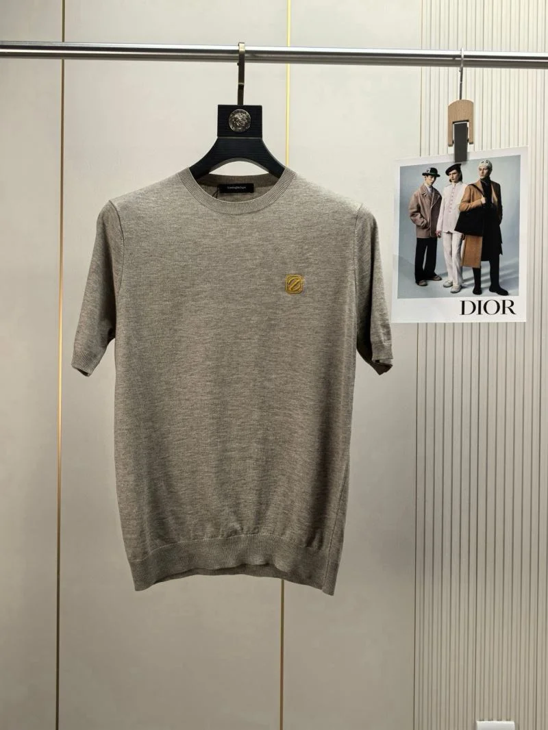 Mirror quality Ermenegildo Zegna T-Shirts