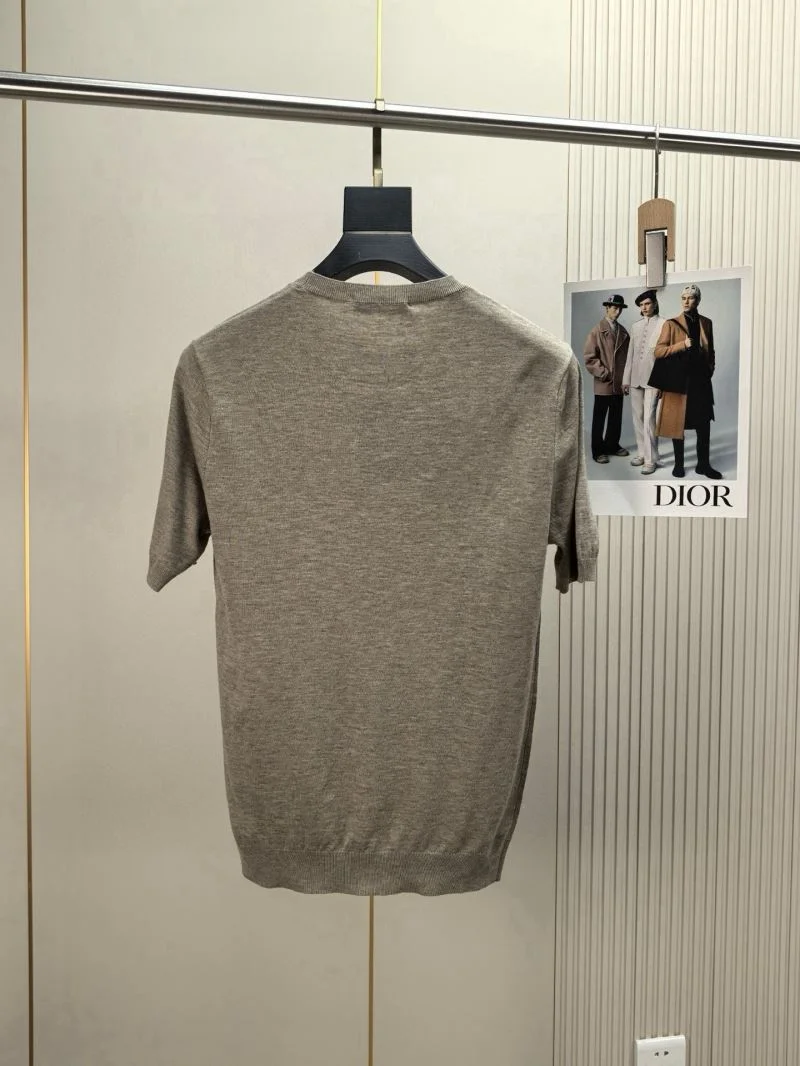 Mirror quality Ermenegildo Zegna T-Shirts