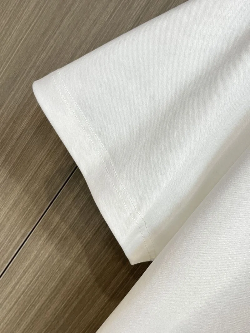 Mirror quality Ermenegildo Zegna T-Shirts