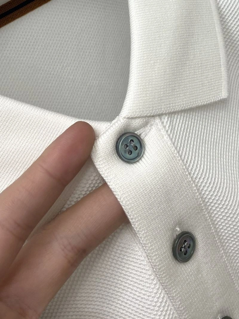Precise copy Ermenegildo Zegna T-Shirts