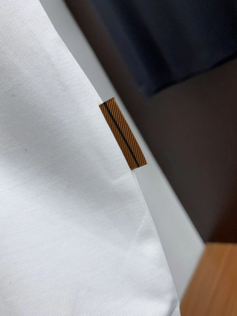 Mirror quality Ermenegildo Zegna T-Shirts