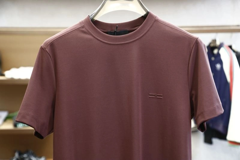 Top match Ermenegildo Zegna T-Shirts