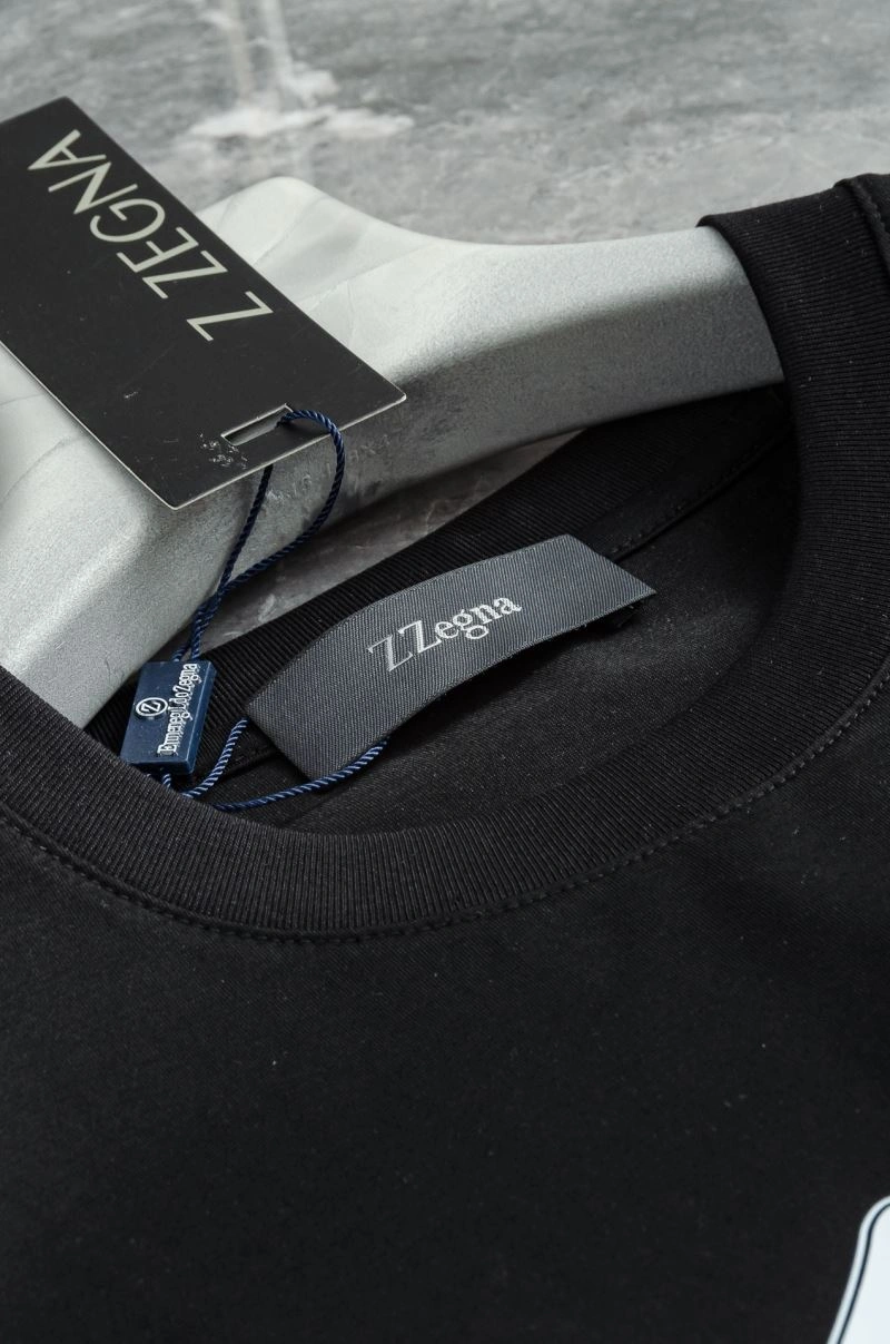Indistinguishable Ermenegildo Zegna T-Shirts