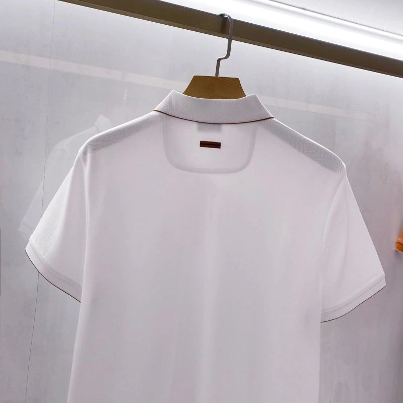 Mirror quality Ermenegildo Zegna T-Shirts