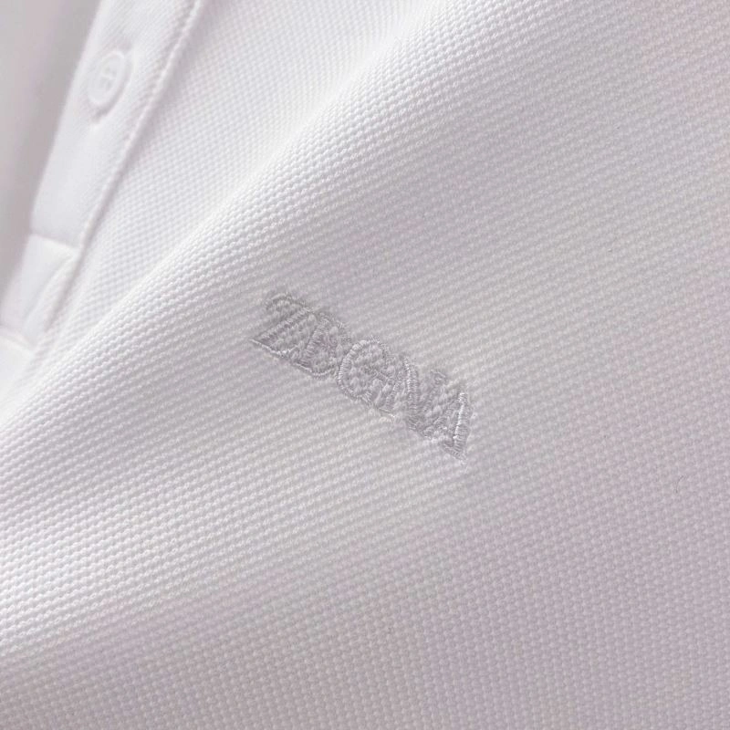 Mirror quality Ermenegildo Zegna T-Shirts