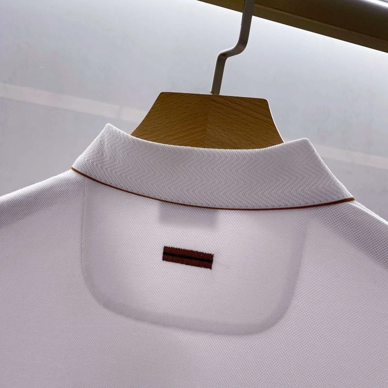 Mirror quality Ermenegildo Zegna T-Shirts