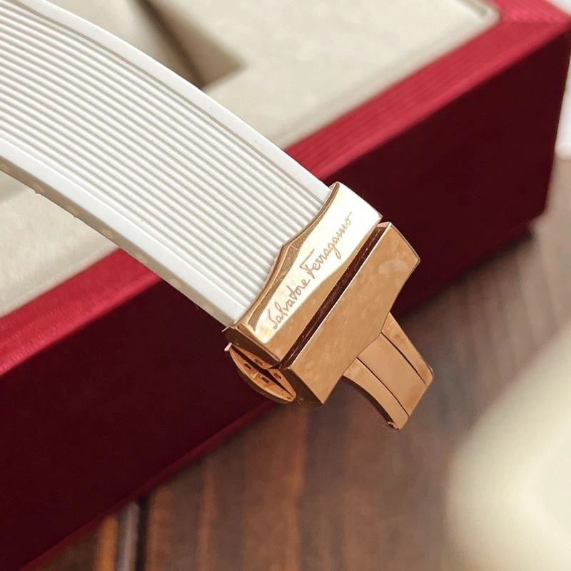 Inexpensive FERRAGAMO Watches