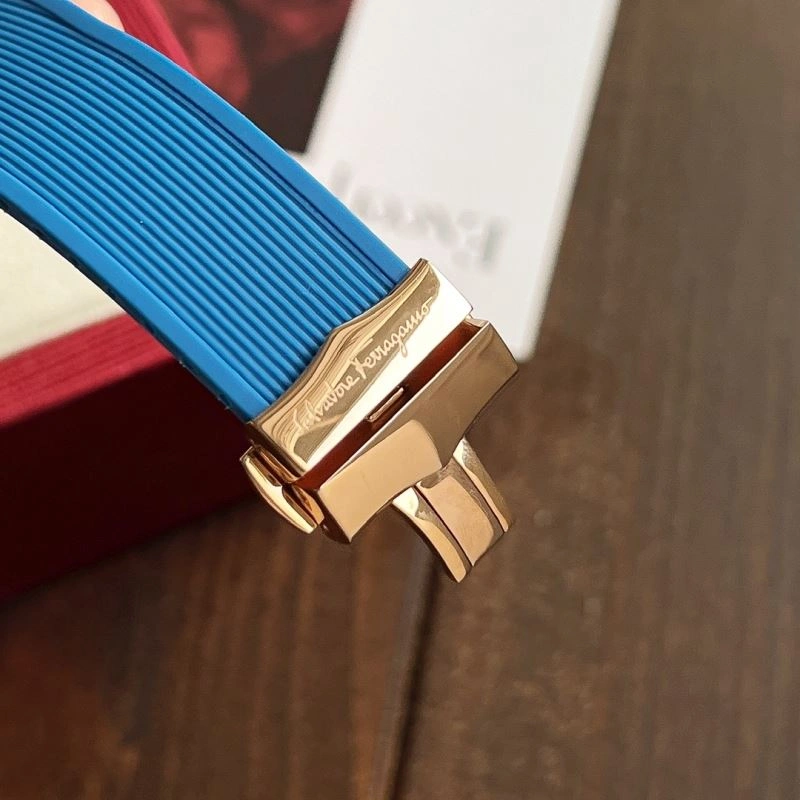 Top match FERRAGAMO Watches