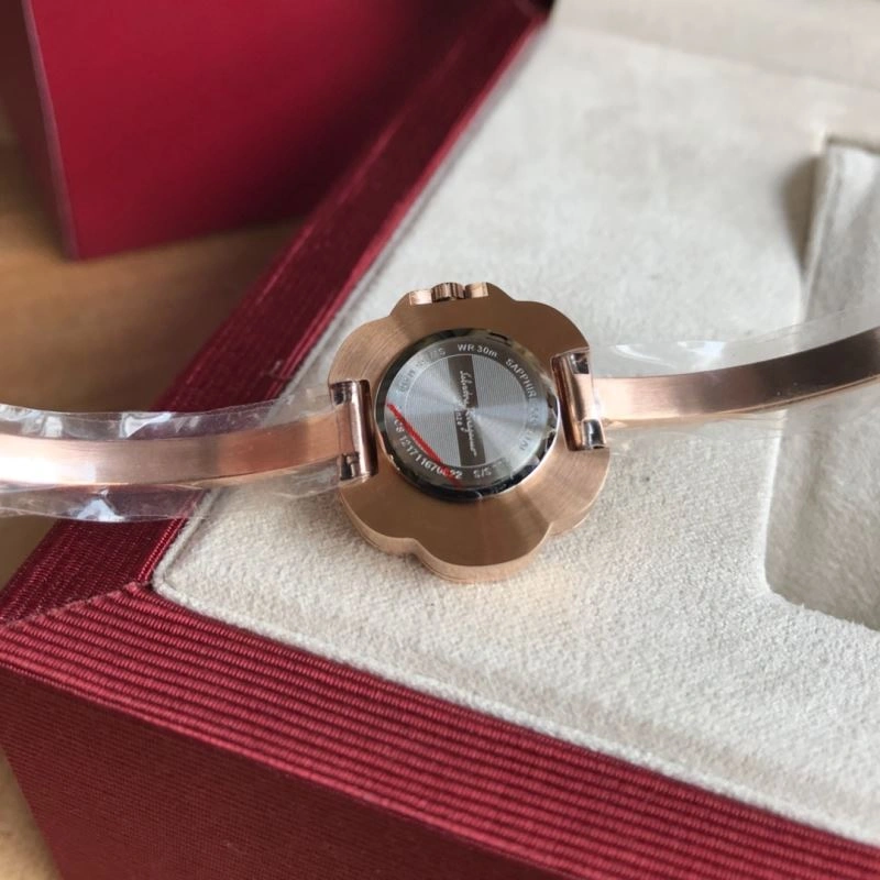 Value-priced FERRAGAMO Watches