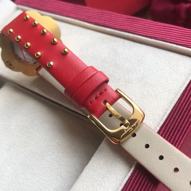 Top match FERRAGAMO Watches