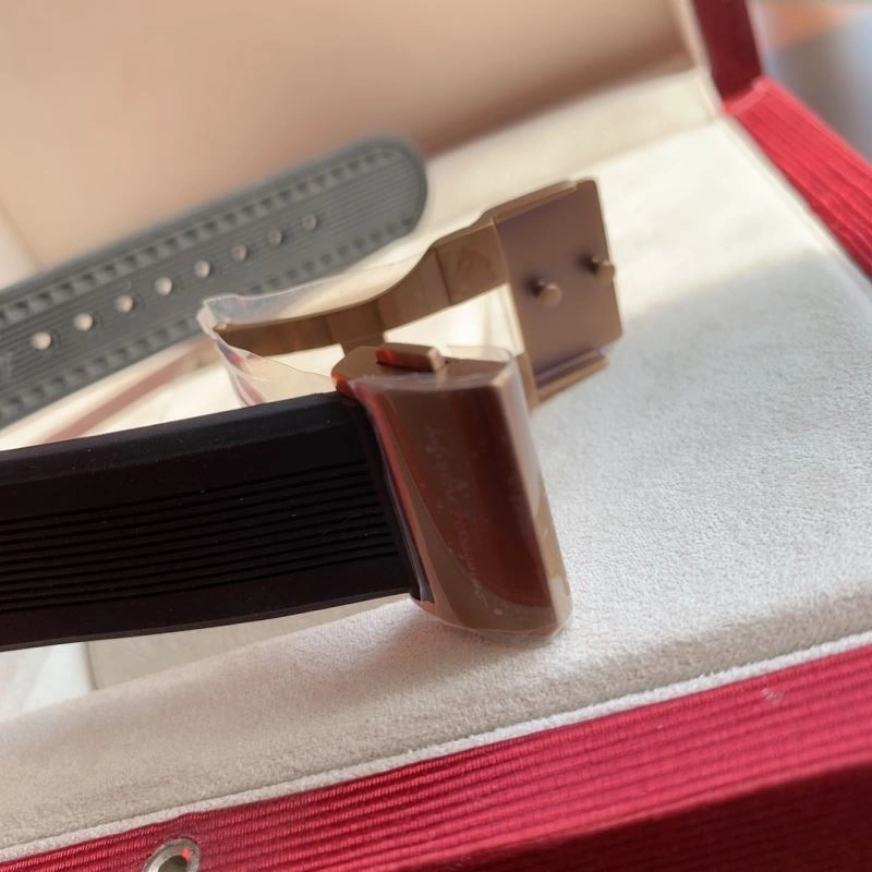 Discounted FERRAGAMO Watches