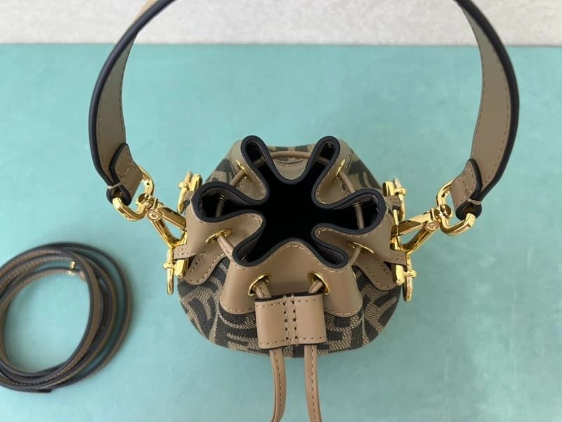 High accuracy Fendi Bucket Bags