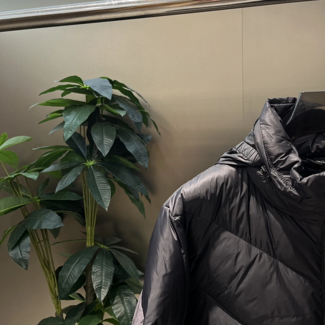 Economical Fendi Down Jackets