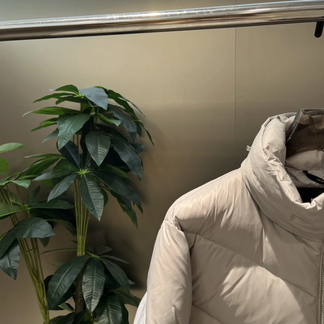 Exact replica Fendi Down Jackets