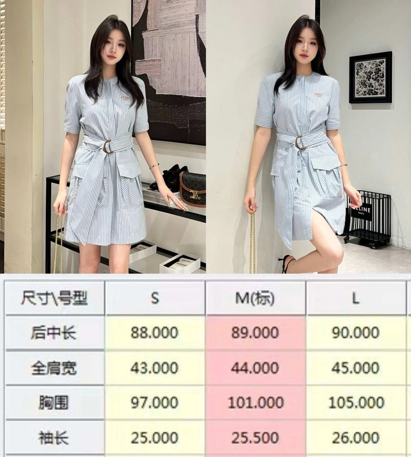 High accuracy Fendi Dress