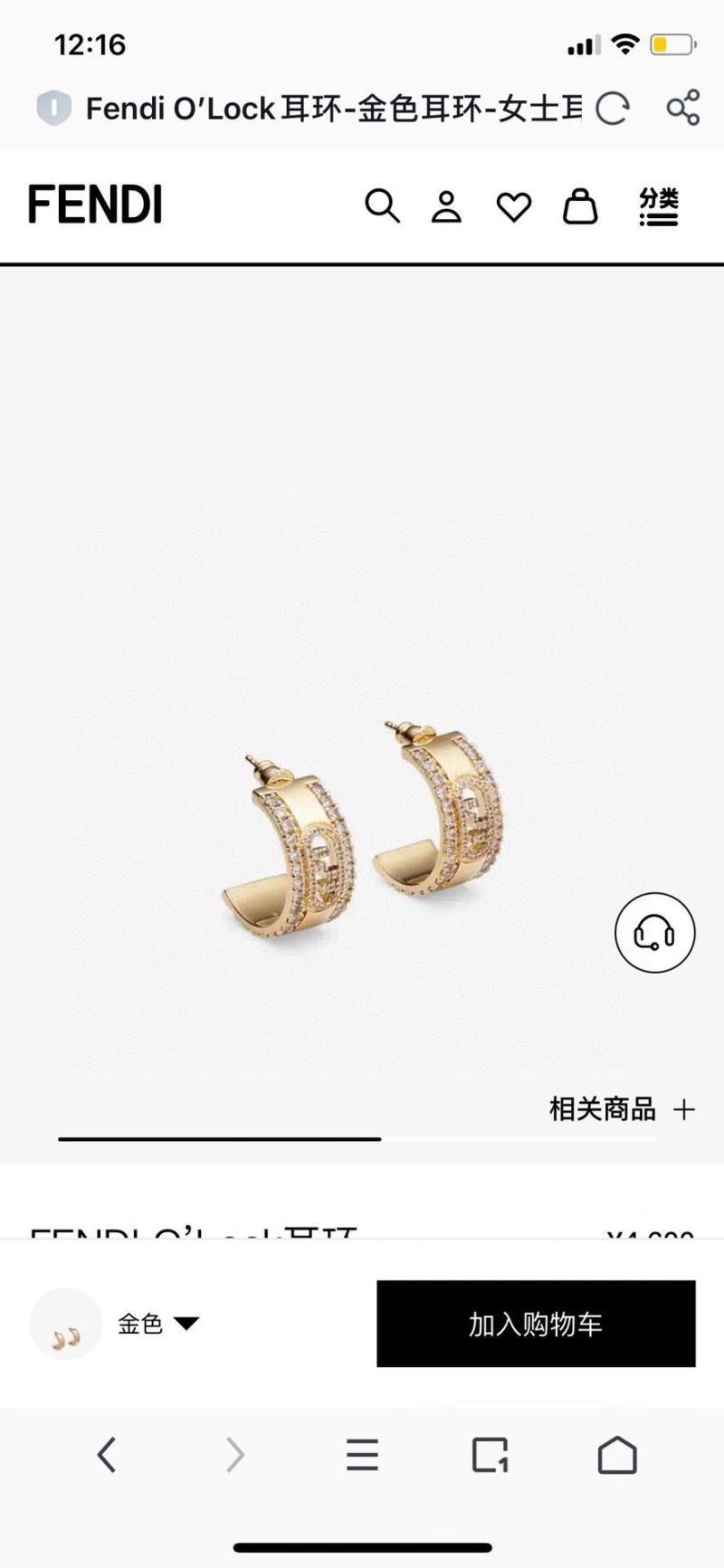 Indistinguishable Fendi Earrings