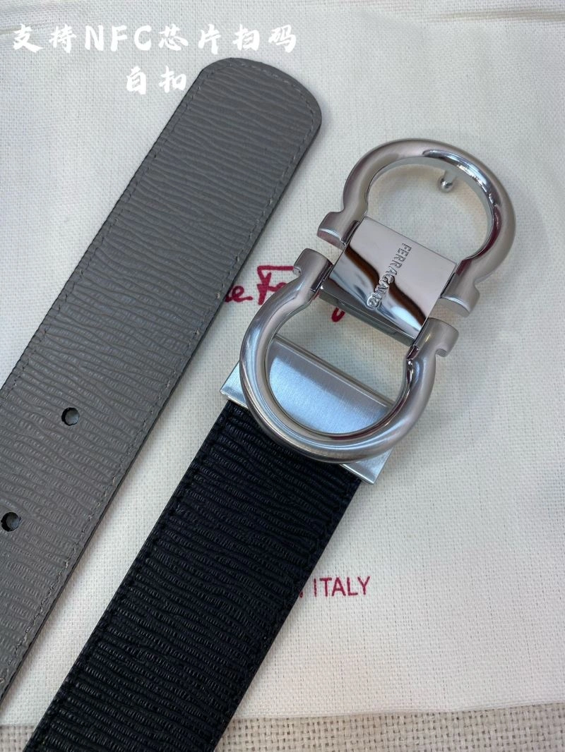 Ferragamo Belts