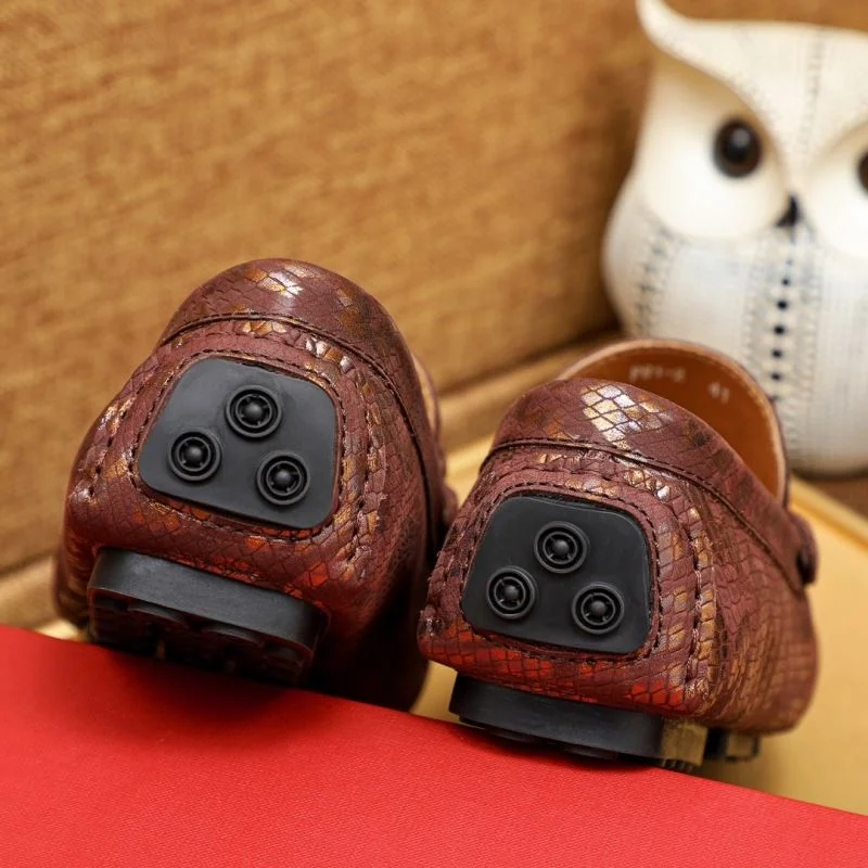 Cut-rate Ferragamo Shoes