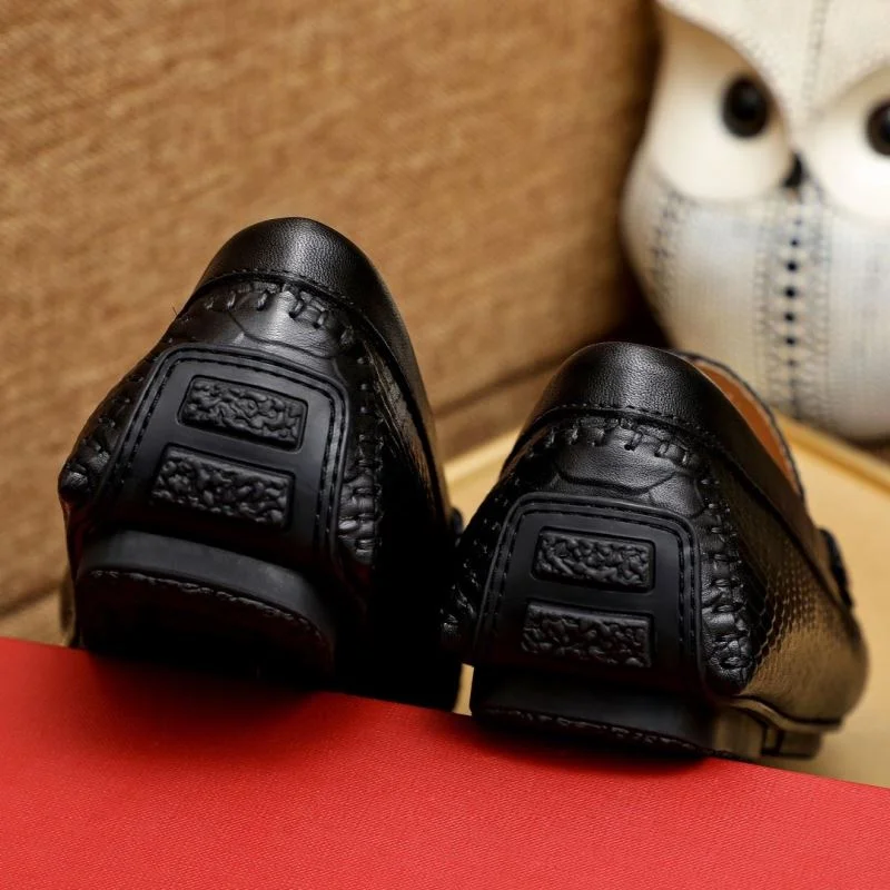 Ferragamo Shoes