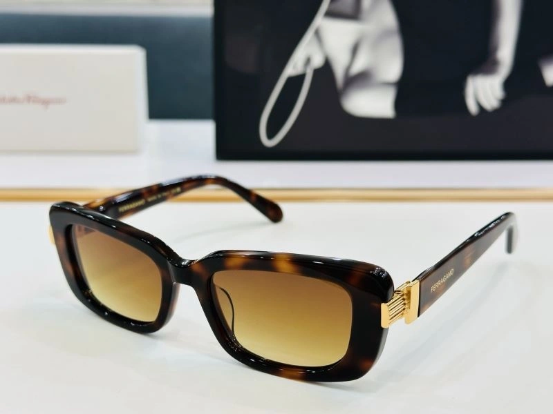 Reasonably priced Ferragamo Sunglasses