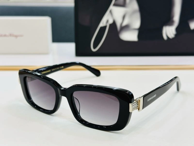 Reasonably priced Ferragamo Sunglasses
