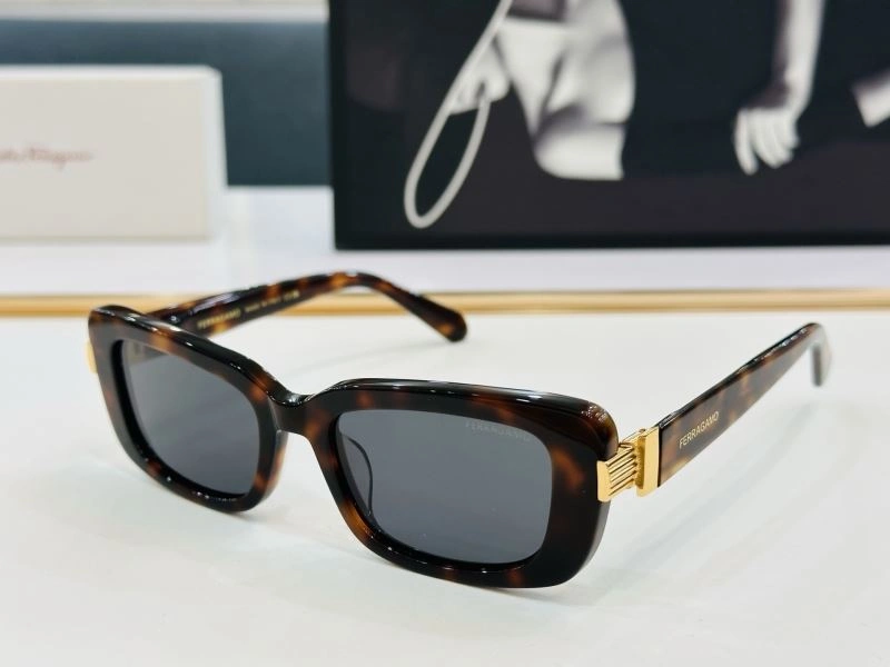 Reasonably priced Ferragamo Sunglasses