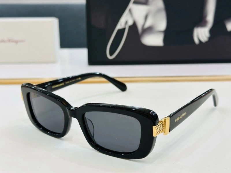 Reasonably priced Ferragamo Sunglasses