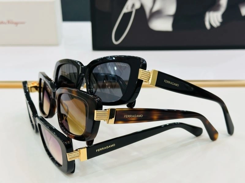 Reasonably priced Ferragamo Sunglasses