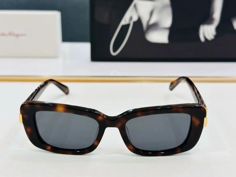 Reasonably priced Ferragamo Sunglasses