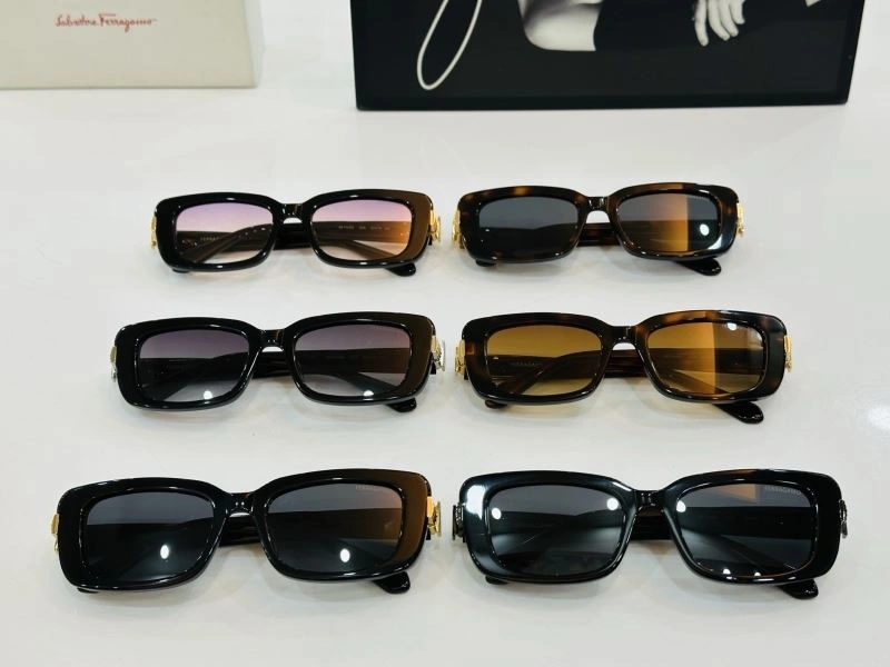 Reasonably priced Ferragamo Sunglasses