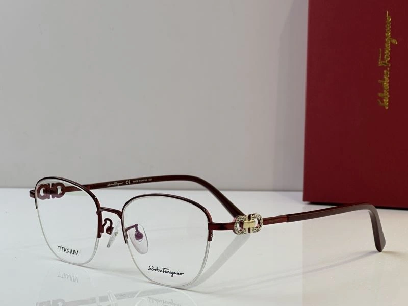 Indistinguishable Ferragamo Sunglasses