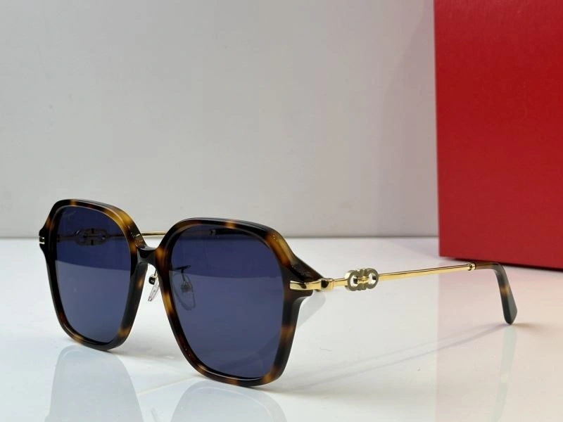 Ferragamo Sunglasses