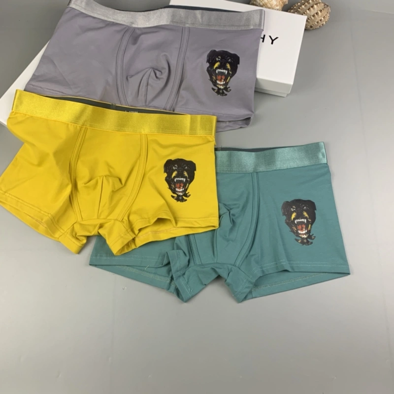 Precise copy Givenchy Underwear