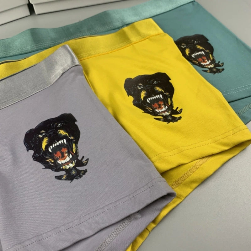 Precise copy Givenchy Underwear