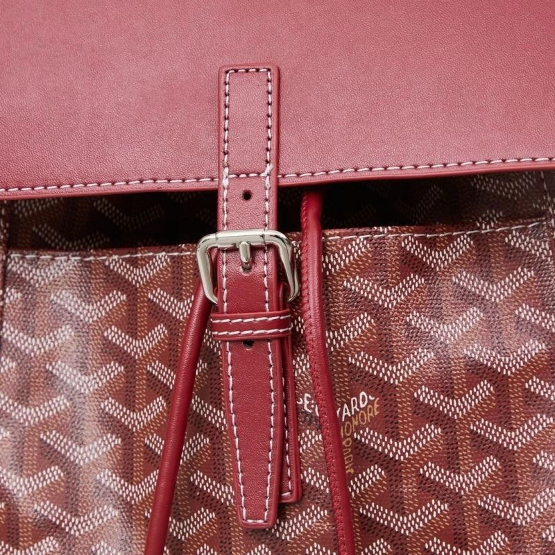 Legit Goyard Backpacks