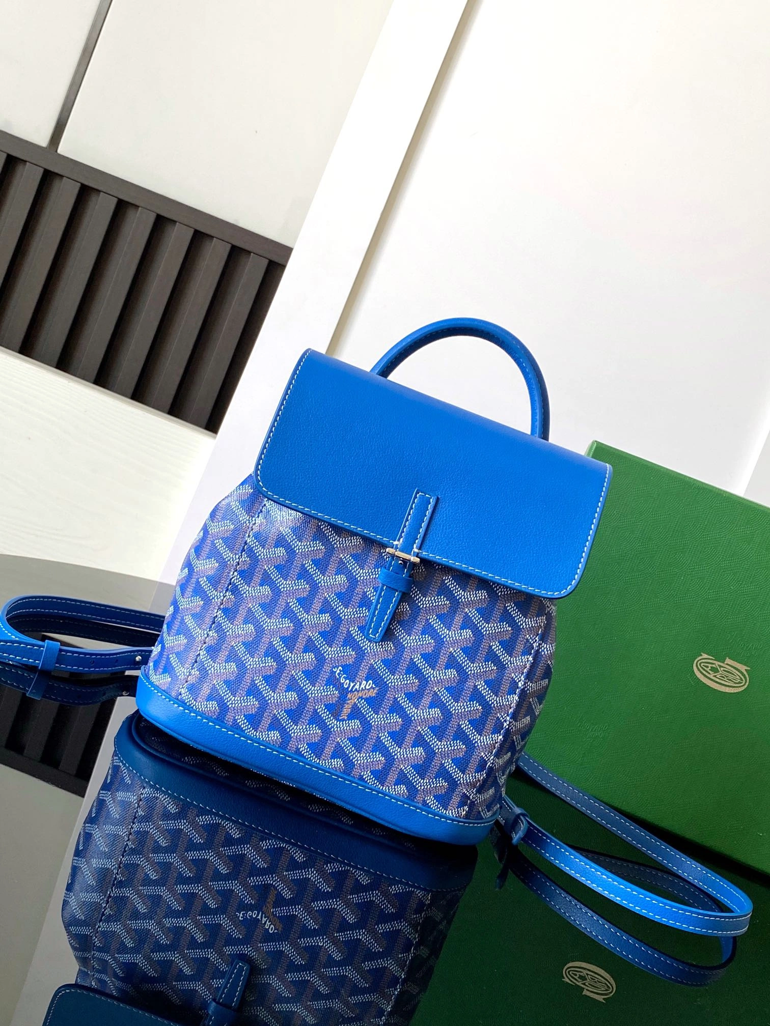Goyard Backpacks