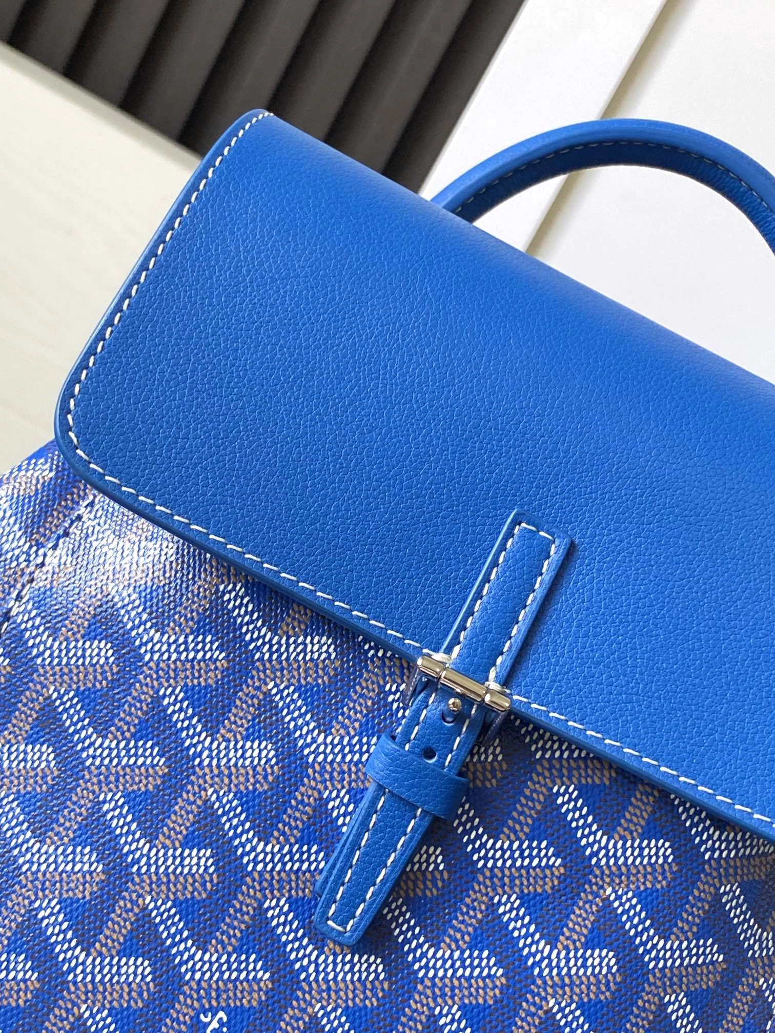 OEM Goyard Backpacks