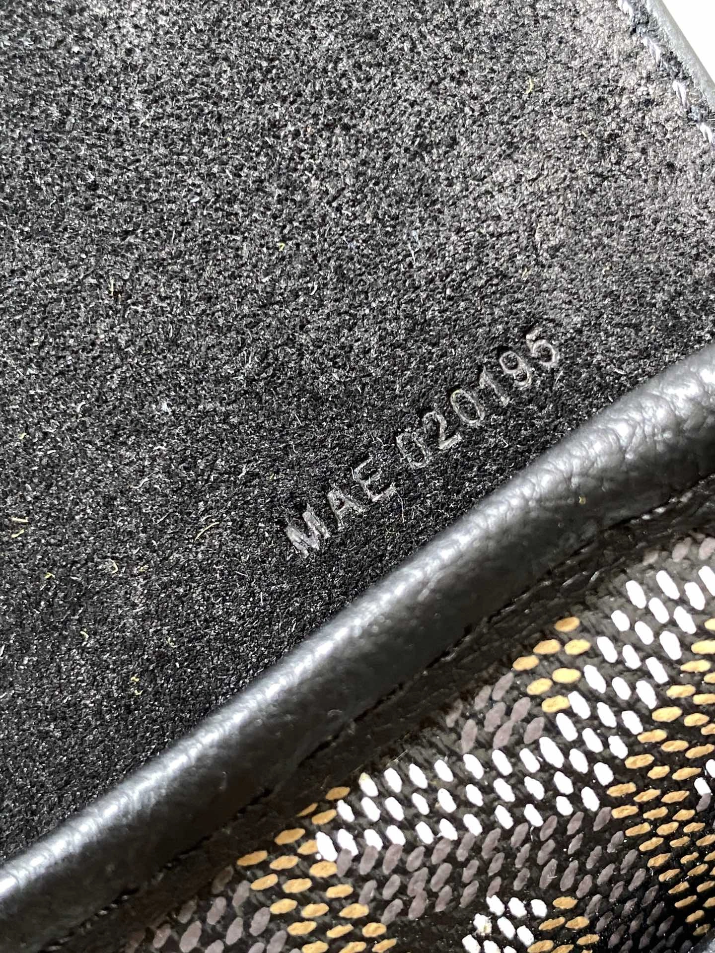 Accurate model Goyard Backpacks