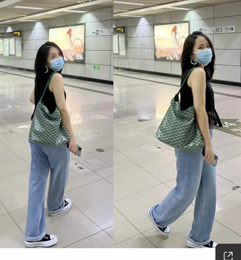 Exact replica Goyard Hobo Bags