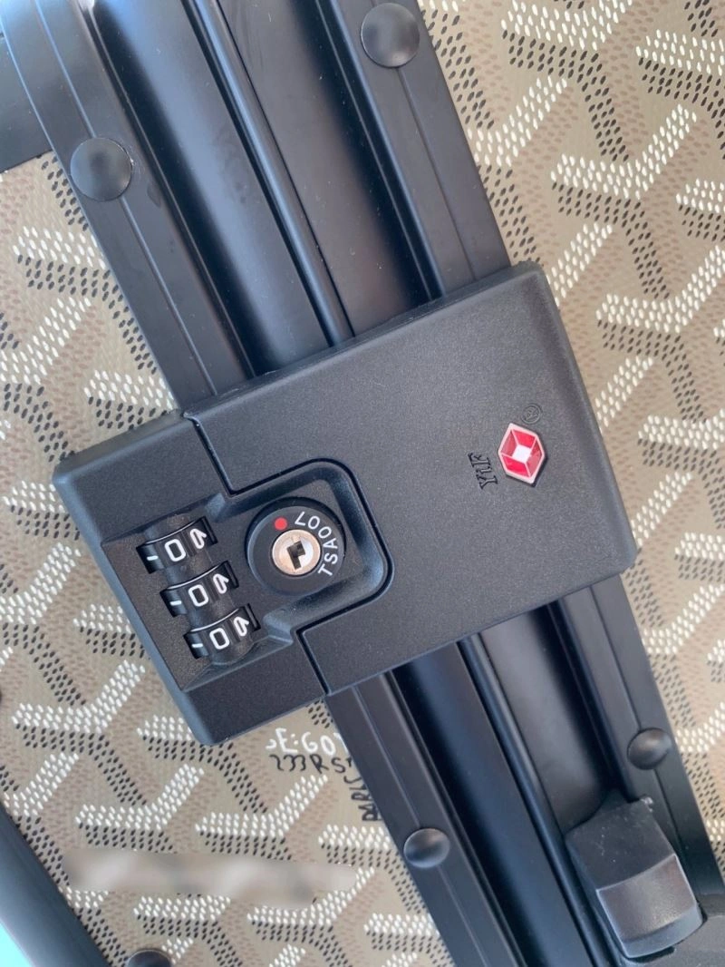 Indistinguishable Goyard Suitcase