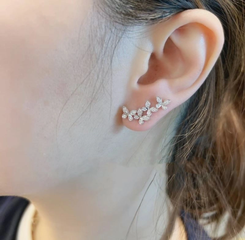 Mirror quality Graff Earrings