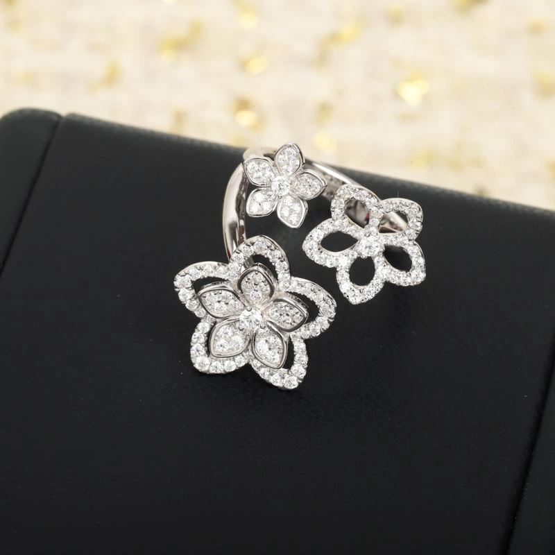 Accurate model Graff Rings