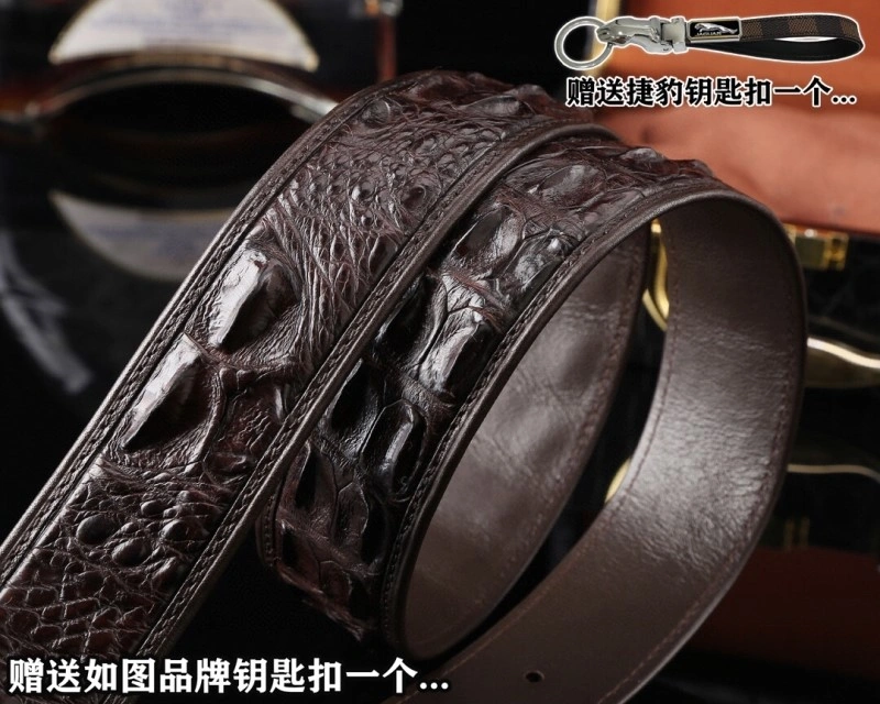 Reasonably priced Gucci Belts
